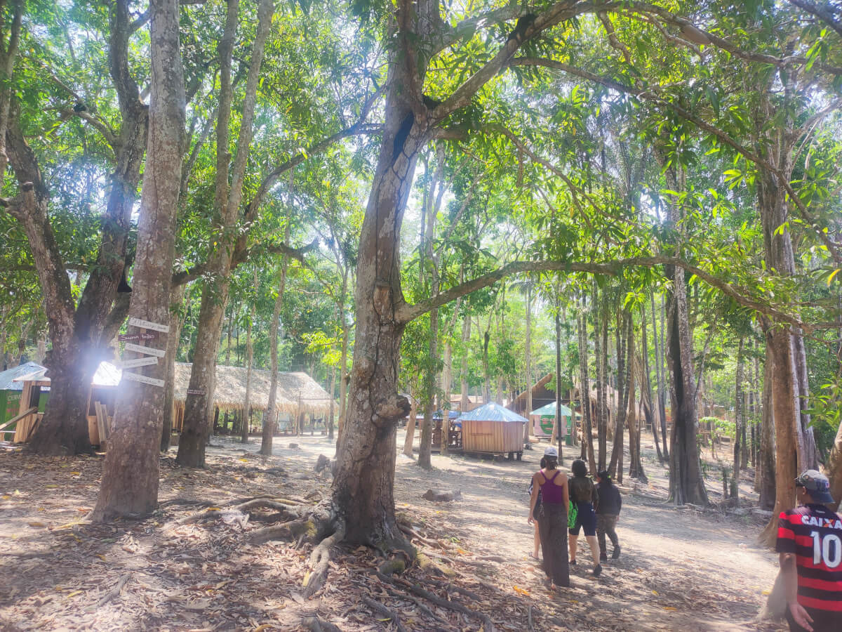 A guide about Ecotourism in Brazil